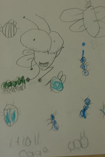 Fly Guy Math - Fairy Dust Teaching