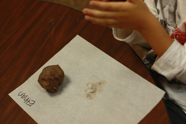 Earth Day Insects - Fairy Dust Teaching