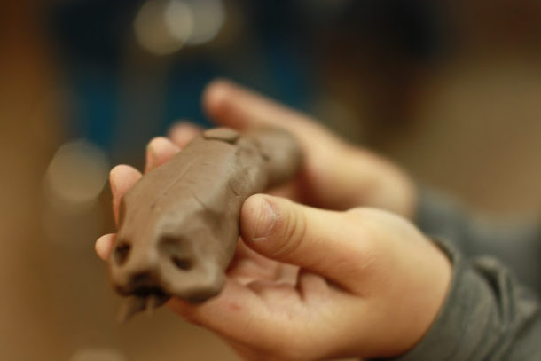 Earth Day Insects - Fairy Dust Teaching