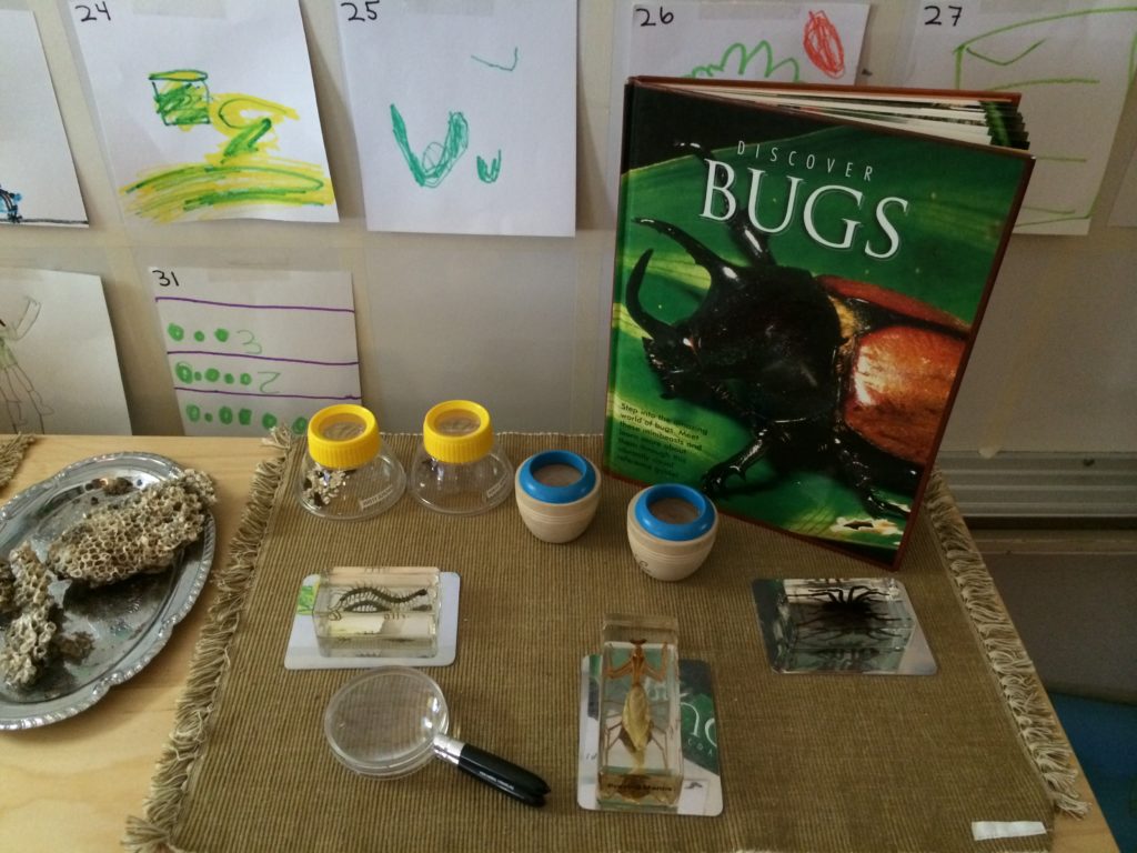 Jennifer's Reggio Inspired Classroom, Part One - Fairy Dust Teaching