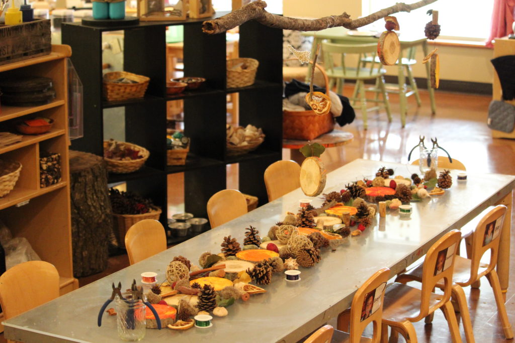 Nature Inspired Provocations - Rosa Parks ECEC - Fairy Dust Teaching