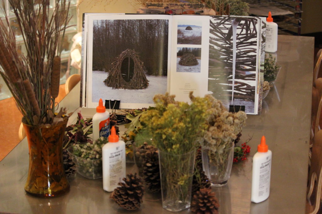 Nature Inspired Provocations - Rosa Parks ECEC - Fairy Dust Teaching
