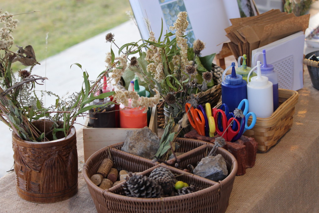 Nature Inspired Provocations - Rosa Parks ECEC - Fairy Dust Teaching