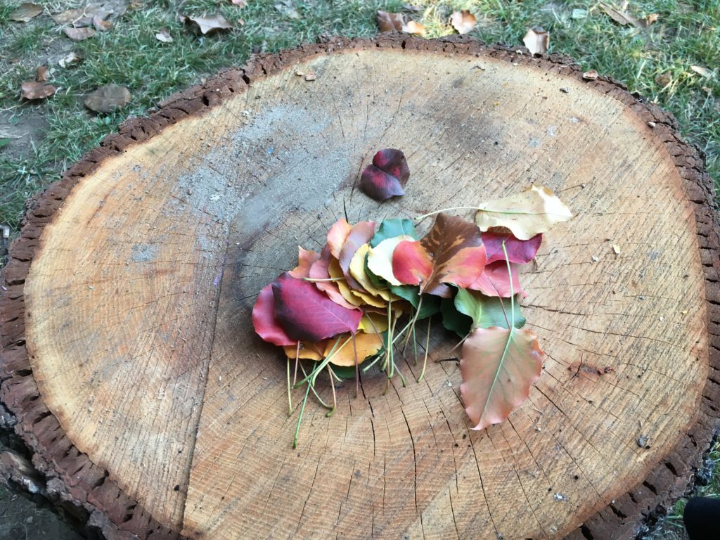 How to Set-Up A Simple Outdoor Math Center - Fairy Dust Teaching