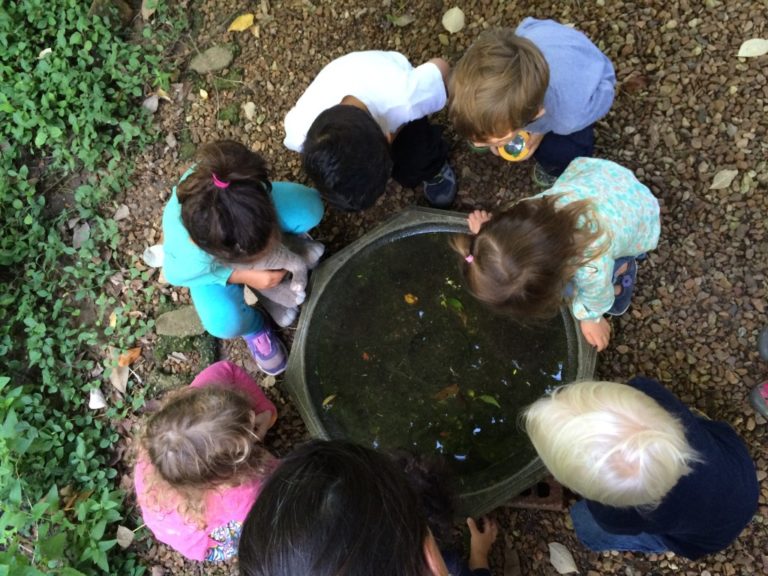 5 Reasons You Should Take Your Class Outside - Fairy Dust Teaching