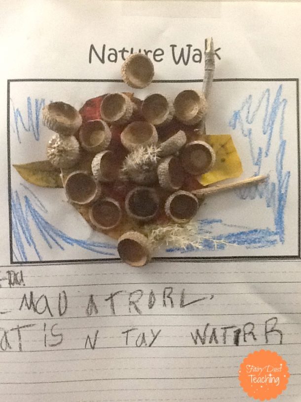 Fall Leaf Investigation with Downloadable Activities - Fairy Dust Teaching