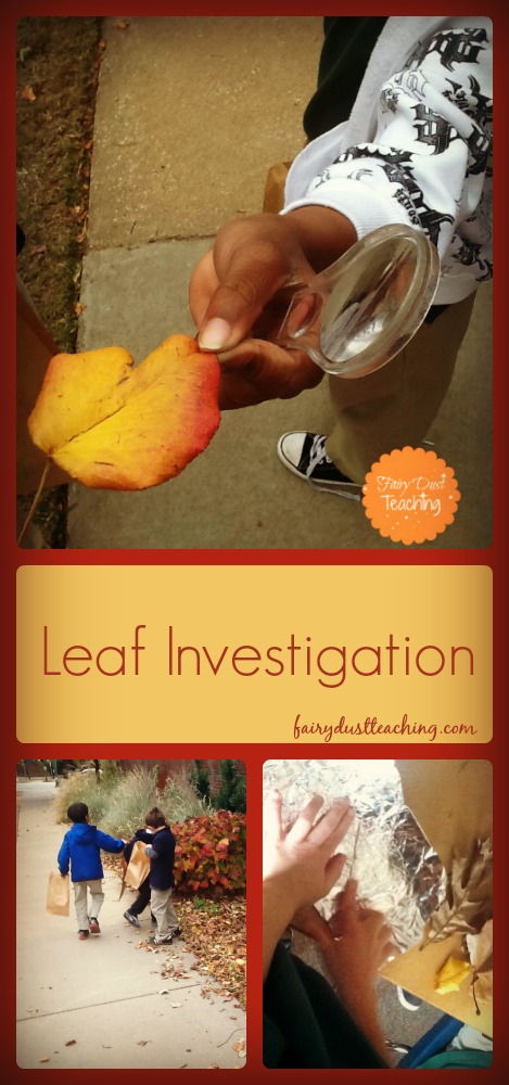 Fall Leaf Investigation with Downloadable Activities - Fairy Dust Teaching