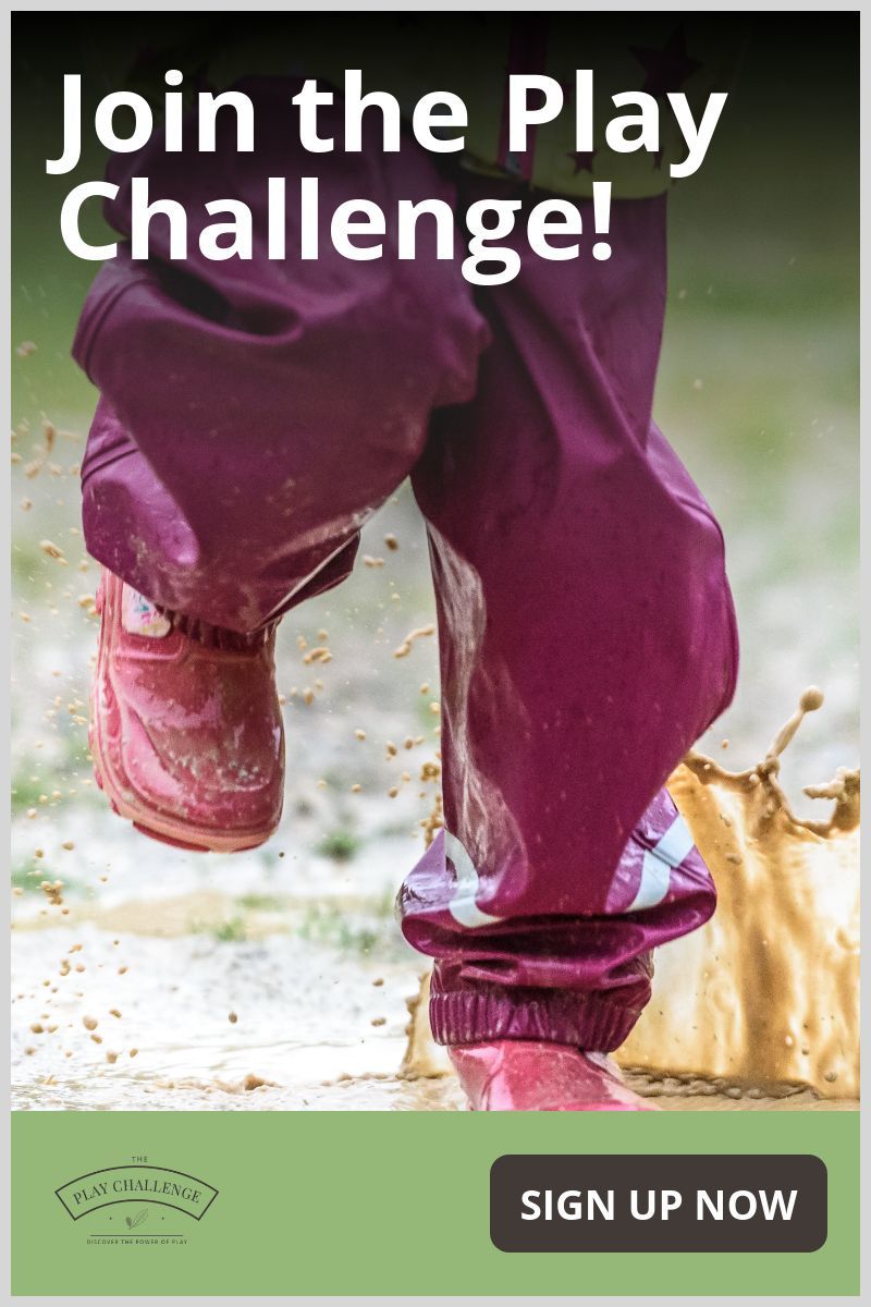 Play Challenge - Fairy Dust Teaching